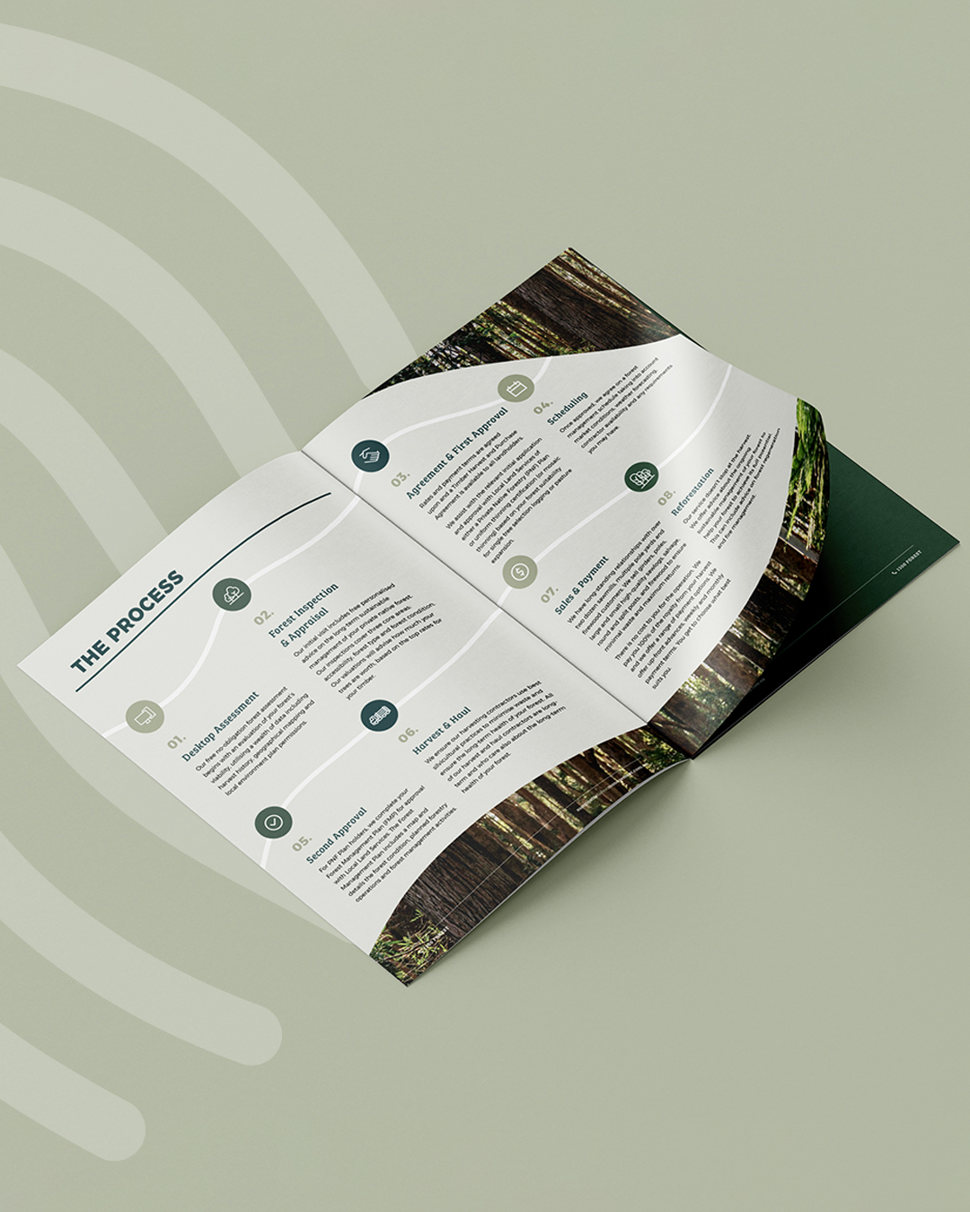 Sustainable Forest Management Holistic Marketing & Digital - Coast Agency