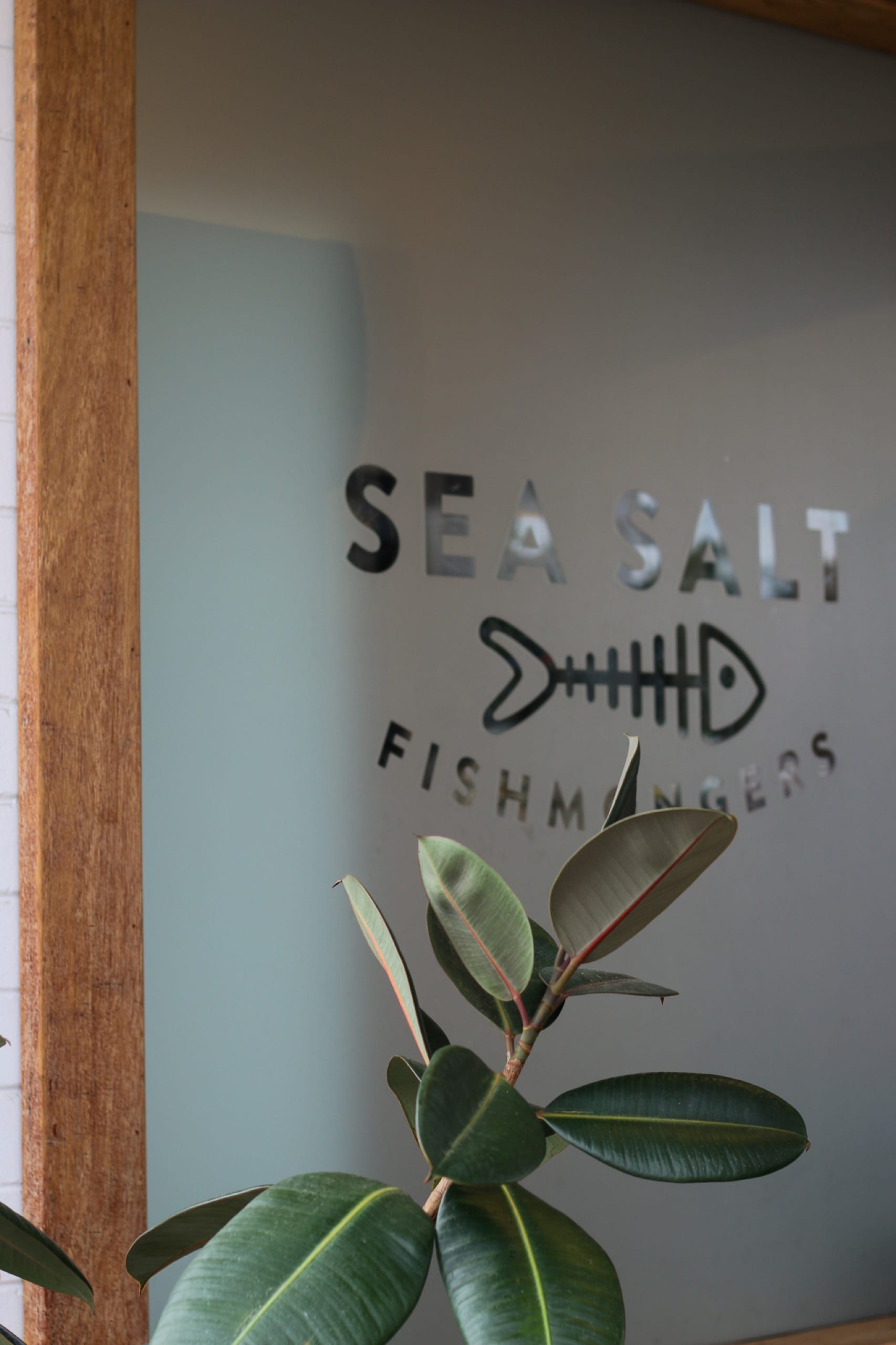 Sea Salt Rebrand And Custom Illustrations